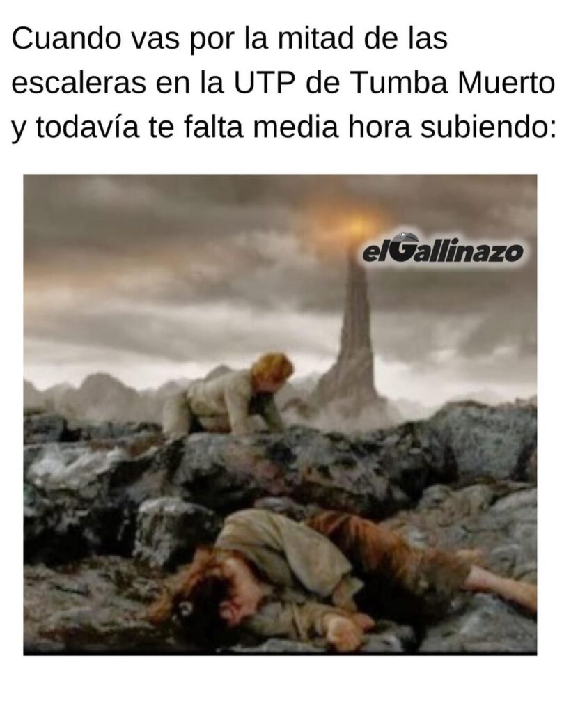 Memes Universitarios: Edición UTP - El Gallinazo