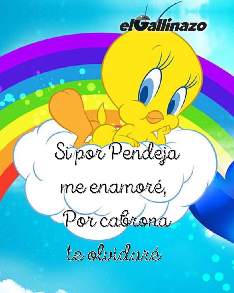Piolin empoderado en el Día de la Mujer - El Gallinazo