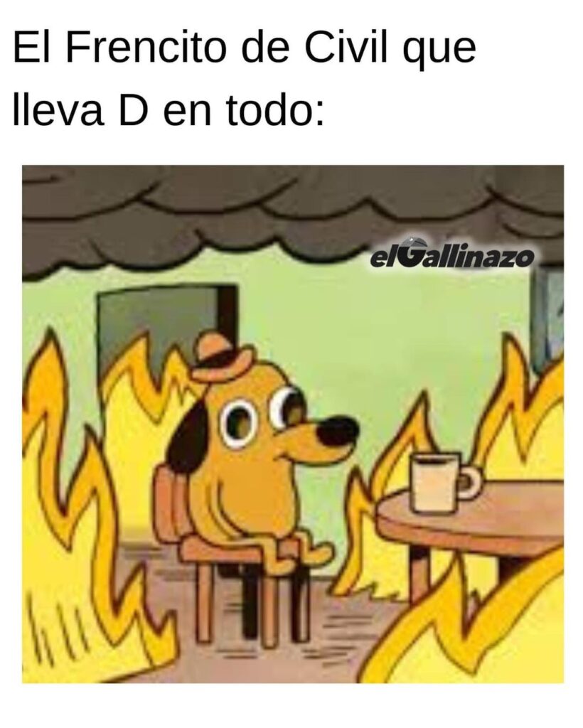 Memes Universitarios: Edición UTP - El Gallinazo