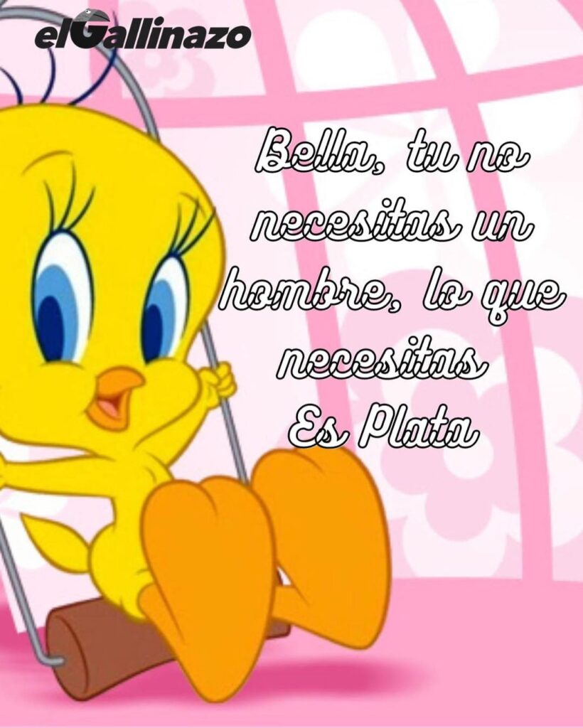 Piolin empoderado en el Día de la Mujer - El Gallinazo