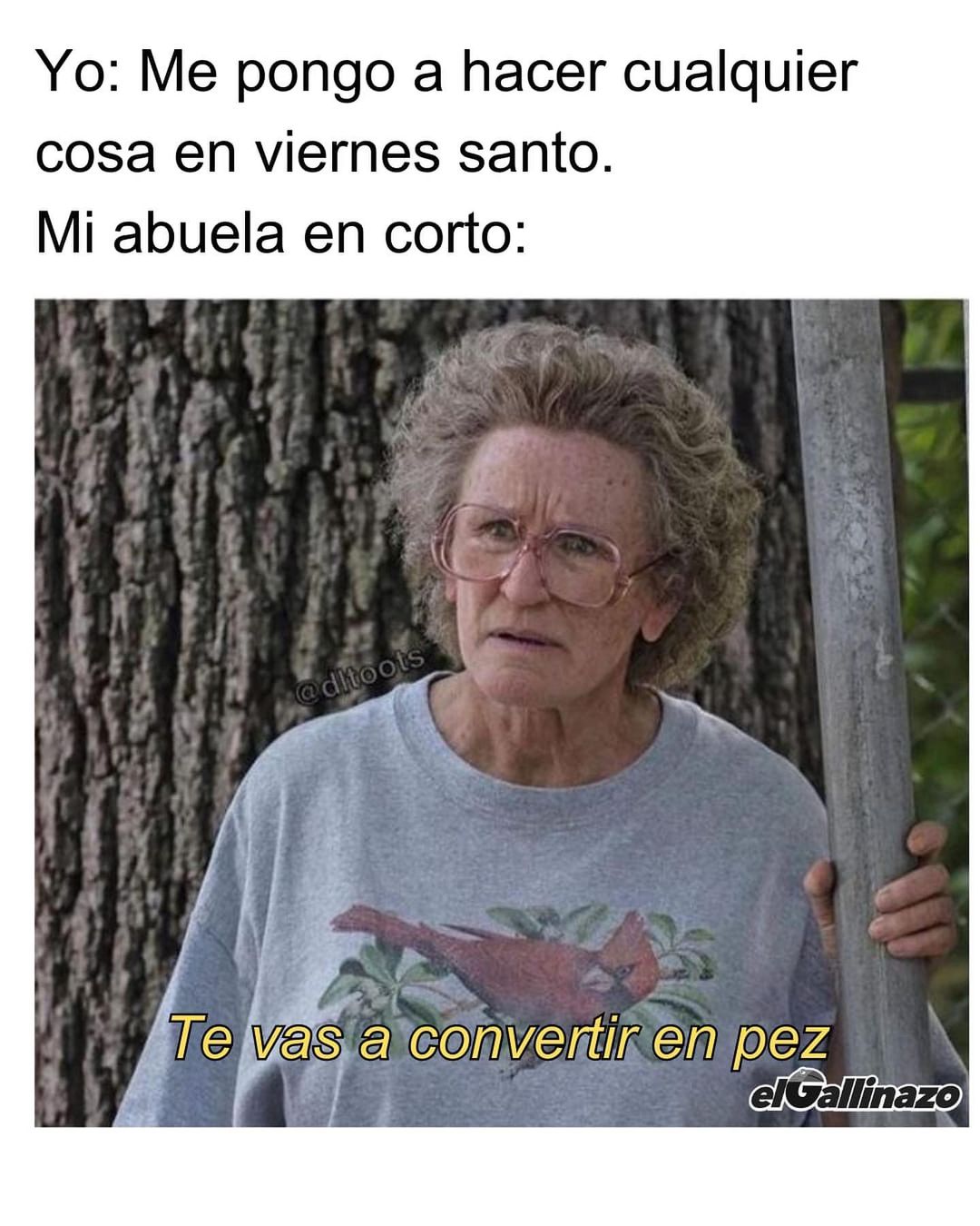 Viernes Santo - El Gallinazo