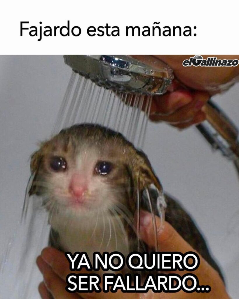 Más memes de Anel y Fajardo a la carta - El Gallinazo