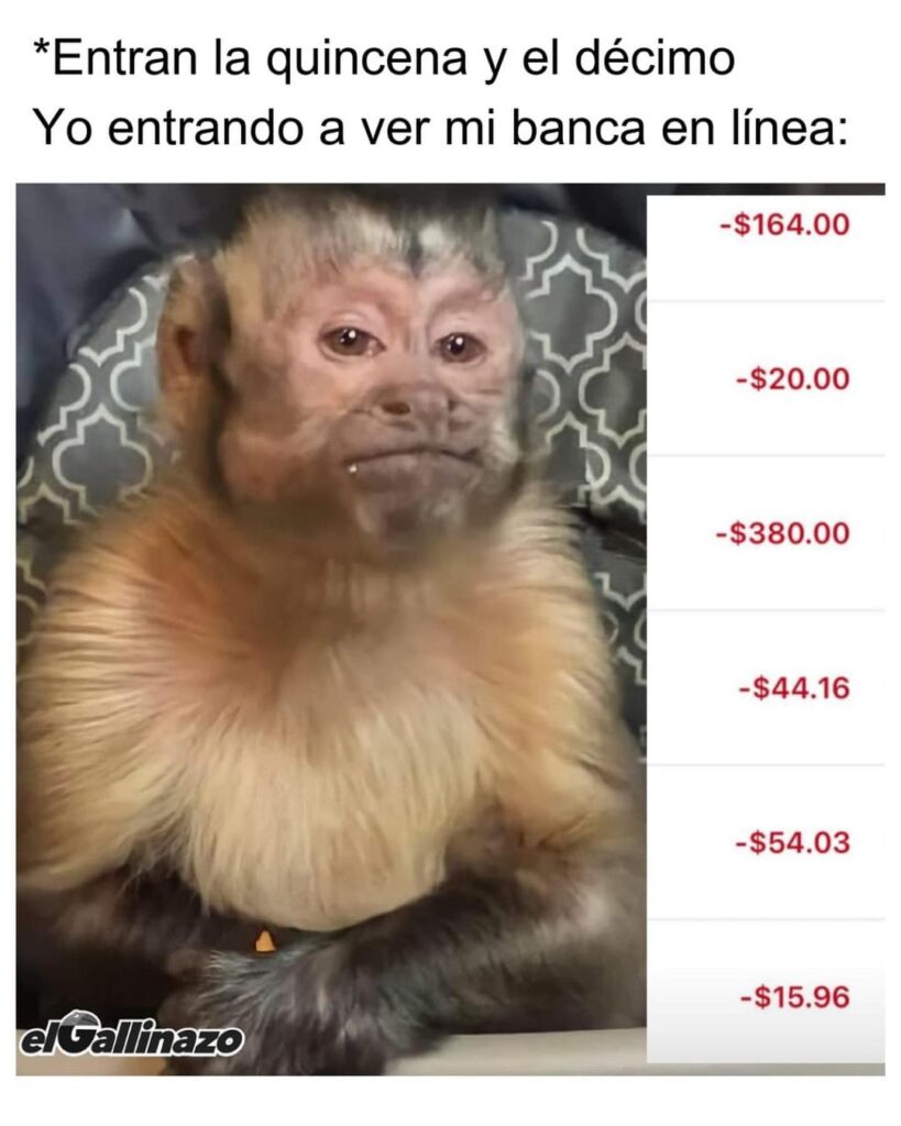 Llegó y se fue el décimo - El Gallinazo